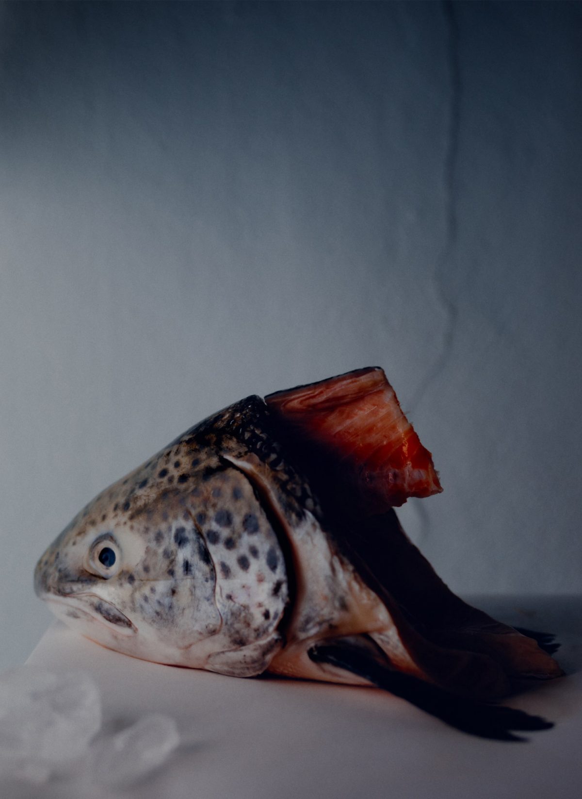 Photographers in Isolation: A visual diary of moments frozen in time ...