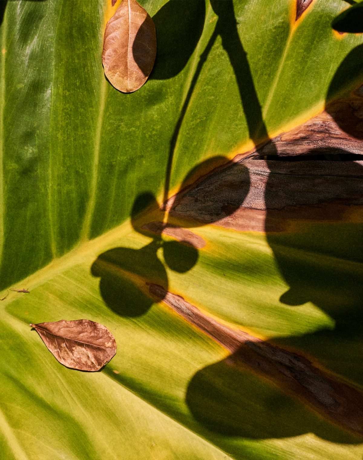 Photographers in Isolation: A visual diary of moments frozen in time ...