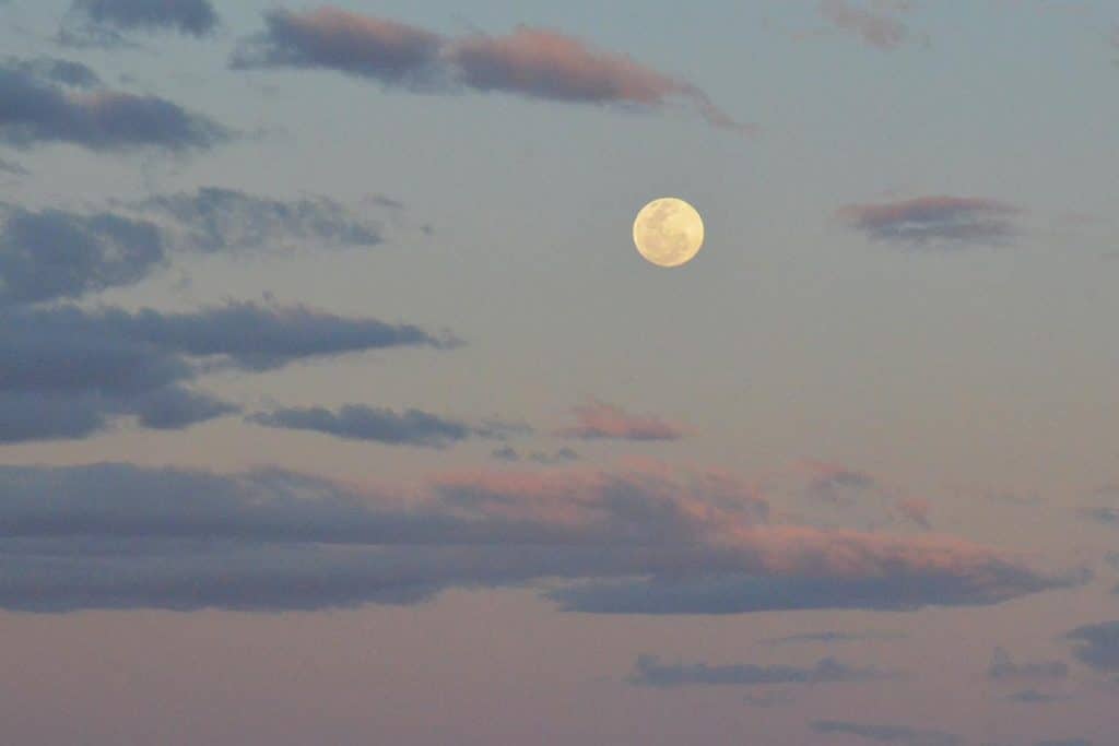 What to expect from the September Harvest Full Moon in Pisces 2021