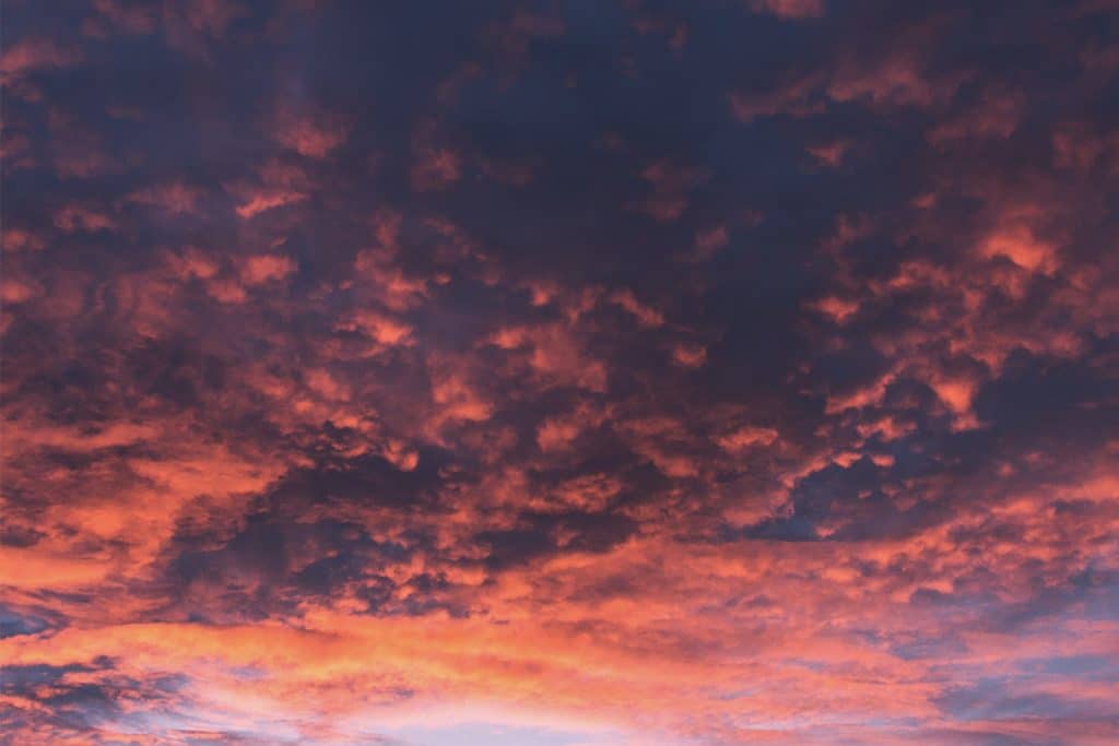 Understanding cusp signs in Astrology: All your questions answered